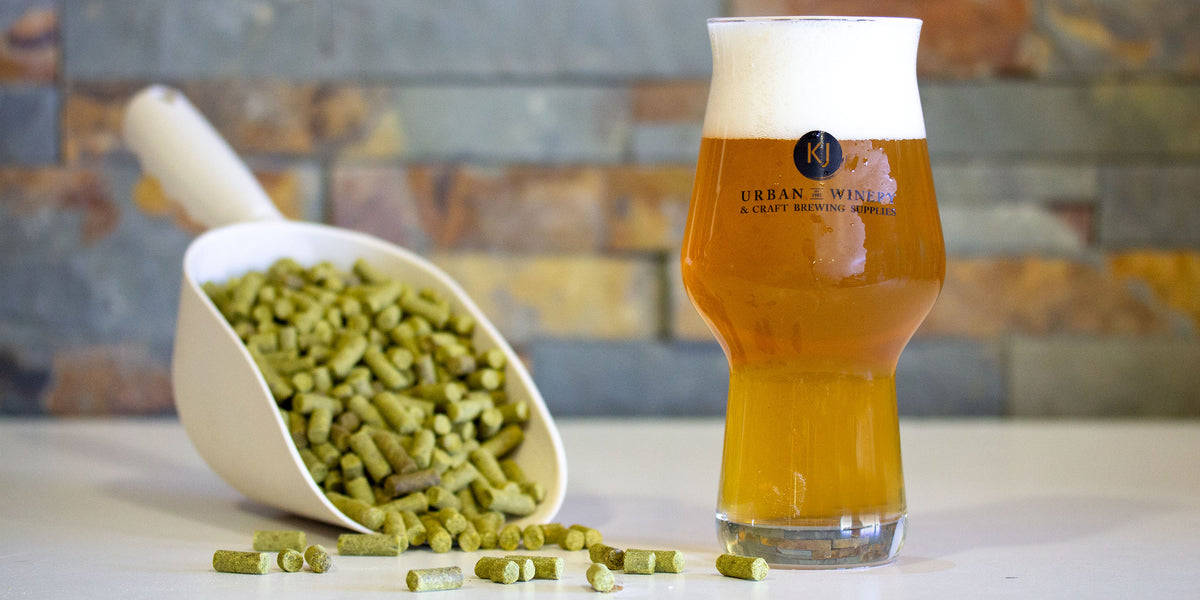 Packer's Westy | November 2022 Beer | KJ Urban Winery @ Guelph Ontario ...