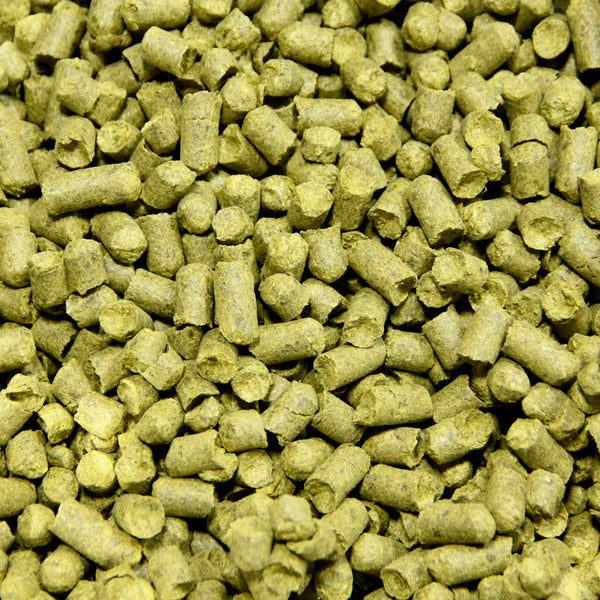 Simcoe Hops - KJ Urban Winery & Craft Brewing Supplies Inc.