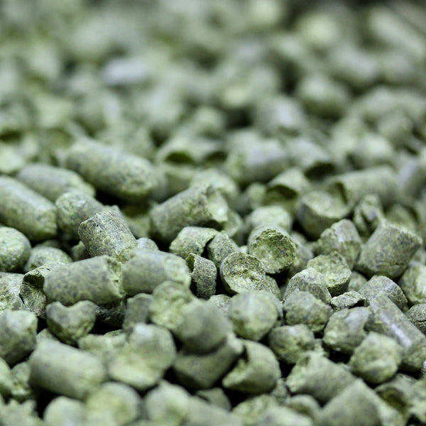 Spalt Hops - KJ Urban Winery & Craft Brewing Supplies Inc.