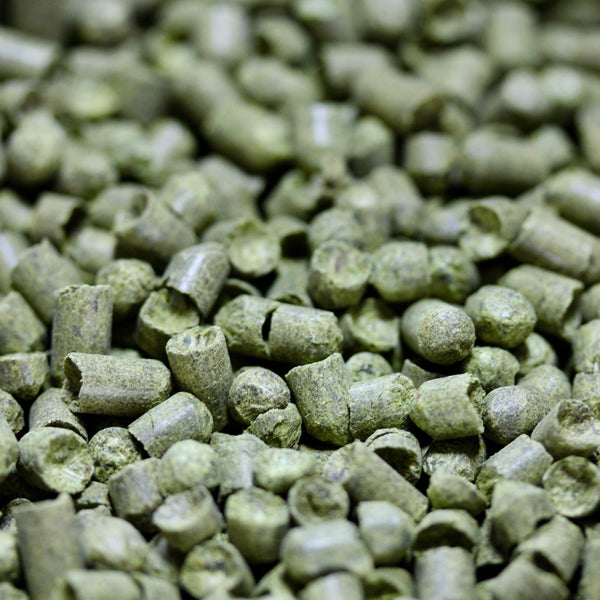 Styrian Golding (Celeia) Hops - KJ Urban Winery & Craft Brewing ...