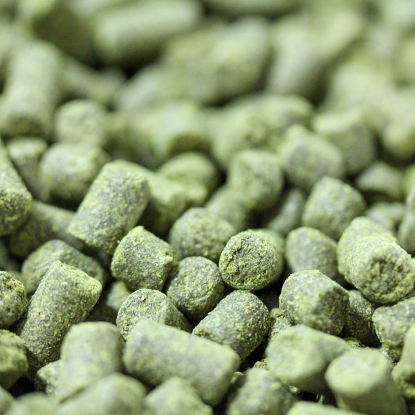 Sabro - Cryo Hops (1oz) - KJ Urban Winery & Craft Brewing Supplies Inc.